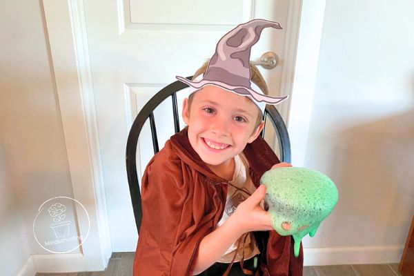 Harry Potter Sorting Hat Activity - Character Development - Mindschooling
